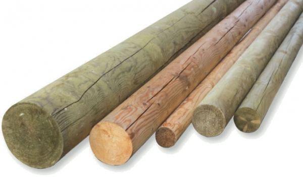 Holzgeländer / Koppelzäune